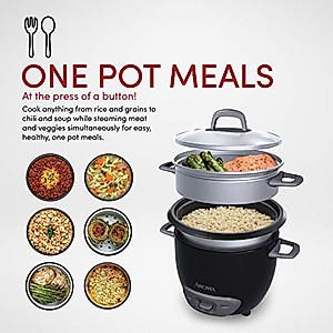 Aroma Housewares 6-Cup (Cooked) Pot-Style Rice Cooker and Food Steamer, Black ARC-743-1NGB