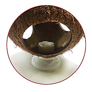 Aquarium Decor Fish Tank Three Hole Coconut Shell Dodge Hole Fish Cave Hole Shelter House Shrimp Nest/Bird's Nest (Coconut Shell & Suction Cup)