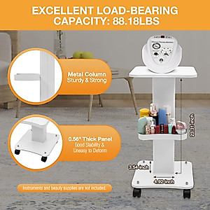 Trolley with Shelf, Multi-Functional Trolley,Suitable for Beauty Salon Hospital Barbershop Laboratory Placing Tools and Instruments