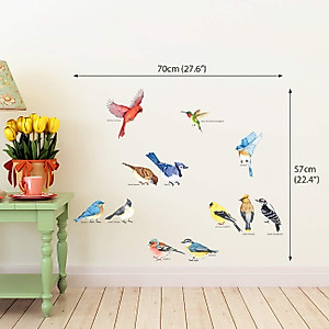DECOWALL DS2-8042 Little Birds Wall Stickers Wall Decals Peel and Stick Removable Wall Stickers for Kids Nursery Bedroom Living Room (Small)