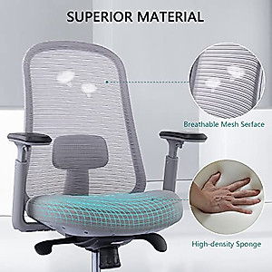 Odinlake Ergonomic Office Chair Mesh - 3D Adjustable Armrest Home Office Desk Chairs with Lumbar Support - Computer Swivel Task Chair Mid Back Office Chairs with PU Wheels(Model: Ergo Core 625)