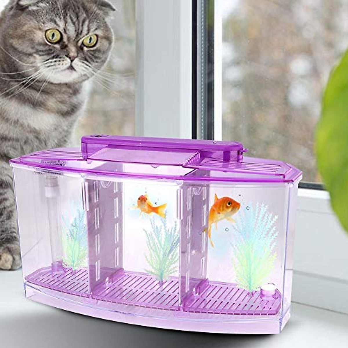 Fish Tank, Adjustable Light Isolation Acrylic Small Aquarium, with LED Light for Small Fishes for Betta with Water Change Valve(Purple)