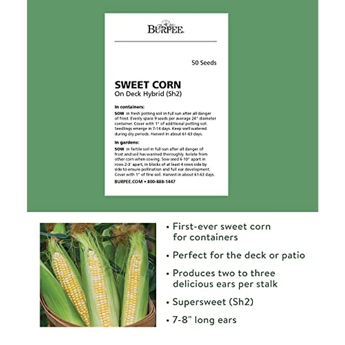 Burpee On Deck Sweet Corn Seeds 50 seeds