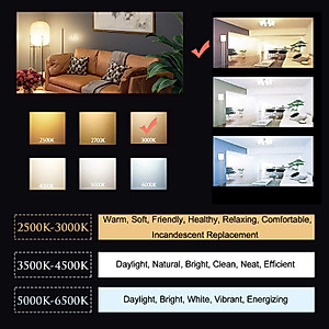 OMAYKEY 15W Dimmable Large LED Globe Bulb 100W Equivalent 1000 Lumens, 3000K Soft White E26 Medium Base, Vintage Edison G125 Large Globe Edison Style LED Filament Light Bulb, Deep Dimming Version