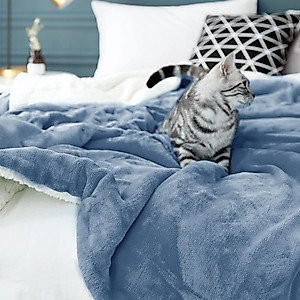 LBRO2M Sherpa Fleece Bed Blanket King Size,Super Soft Fuzzy Plush Warm Cozy Fluffy Microfiber Couch Throw Velvet Double Reversible Luxurious Blankets (Light Blue, King(90x104 Inches))