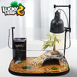 LUCKY HERP Aluminum 5.5inch Deep Dome Reptile Light Fixture, Reptile Heat Lamp Fixture for UVB Bulb Basking Heat Bulb