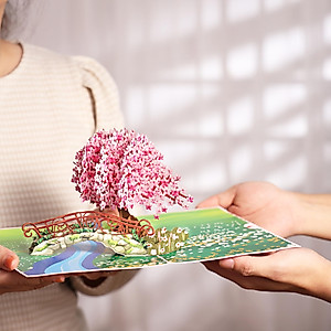 Pop Up Flower Birthday Cards, Cherry Blossom Tree 3D Pop Up Birthday Cards, Thank You Card 6x 8", Anniversary Card, Mother's Day Card, Valentines Card All Occasion for Women, Wife, Mom, Grandma, Her