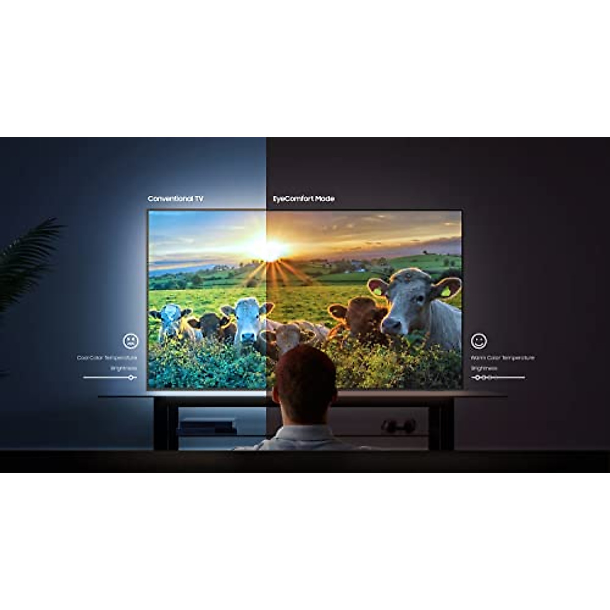 SAMSUNG QN65QN800BFXZA 65" 8K QLED Quantum Mini LED HDR Smart TV with a Walts TV Medium Full Motion Mount for 32"-65" Compatible TV's (2022)