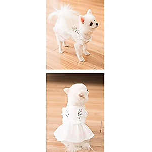 HOUKAI Dress Dog Clothes Dog pet Clothes Skirt Summer Cotton White Skirt (Color : D, Size : Lcode)