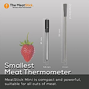 MeatStick MiniX Set | Wireless Meat Thermometer with Bluetooth | 260ft Range | for Kitchen, Air Fryer, Deep Frying, Oven, Sous Vide, BBQ, Grill, Rotisserie