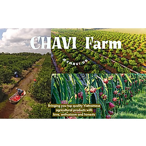 Passion Dragon Pink Drink Mix - Natural Pitaya Dragon Fruit Powder & Passion Fruit Refresher - CHAVI - 8 OZ - Natural Superfood - Rich in Antioxidants and Vitamin C