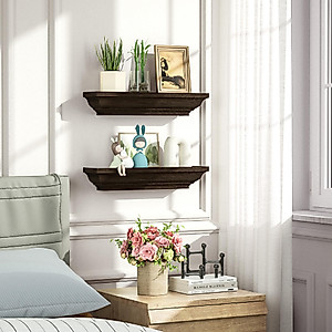 Alsonerbay Floating Shelves, Wood Shelves Rustic Shelves for Wall Storage, Wall Mounted Shelves for Bedroom Living Room Bathroom, 17 Inch 2 Pack (Dark Brown)