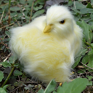 4 x Realistic Furry Baby Chicks Lifelike Plush Fur Animal Spring Easter Chicken Decoration
