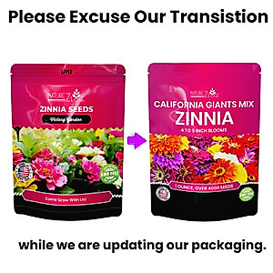 NatureZ Edge Zinnia Seeds for Planting Outdoors, Flower Seeds, Bulk Semillas De Flores para Sembrar, California Giants, 1 Oz