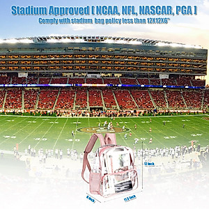 Small Clear Backpack Stadium Approved 12x12x6 Clear Mini Backpack for Girls Women ( Rose Gold )