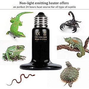 Zacro 2-Pack Reptile Heat Lamp 100W with One Digital Thermometer, Efficient Infrared Ceramic Bulb for Reptiles No-Light Lamp Heat Source Brooder Coop Heater 110V (Black)