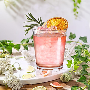 Noamus 9 Pack Plastic Drinking Glasses, 12 Oz Unbreakable Acrylic Water Tumblers, Shatter-Proof Clear Reusable Glasses, Whiskey Drinkware Cups Set for Party Kitchen, Iced Water Tea Coffee