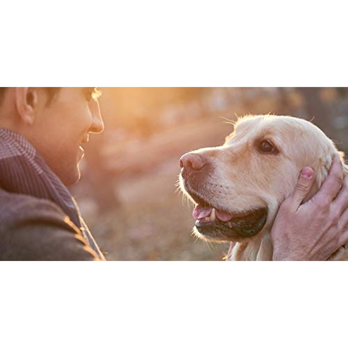 I LOVE MY PETS LLC Dog Immune Health - Dog Immune Support - Booster - Healthy PET - Supplement - Dog Turmeric Supplement - 60 Treats (1 Bottle)