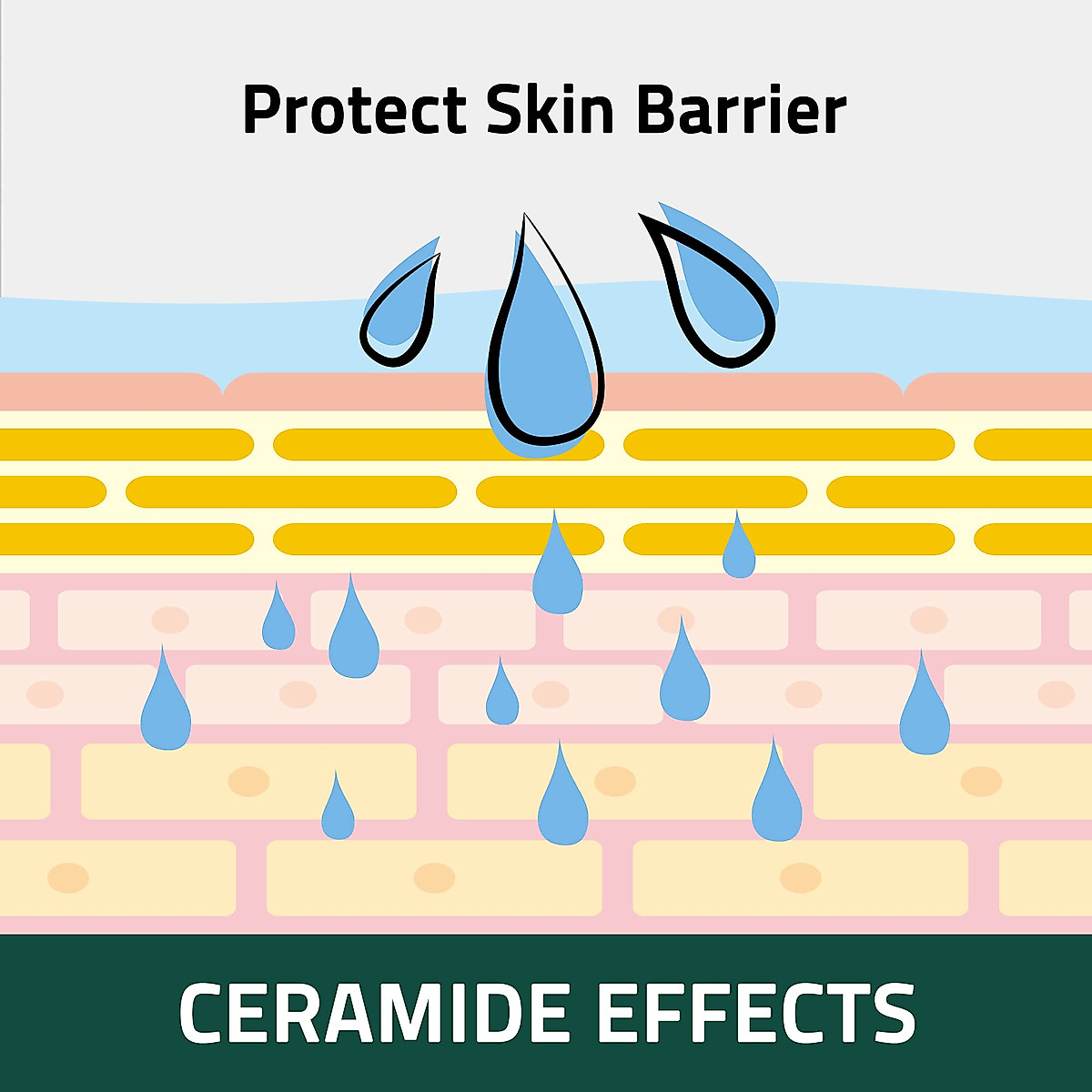 Breezytail PetO'Cera Mist Sensitive - Itch Relief Spray for Cats | Fragrance-Free & Unscented | Regain Healthy Skin with Ceramide | Dry, Irritated Skin Solution | 5.07oz…