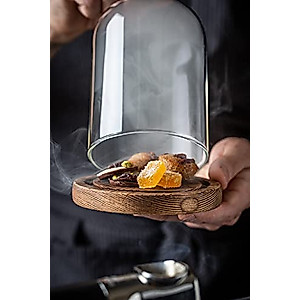 PolyScience Breville Gun Pro Smoke Infuser, Commercial, 0.5 Oz, Black