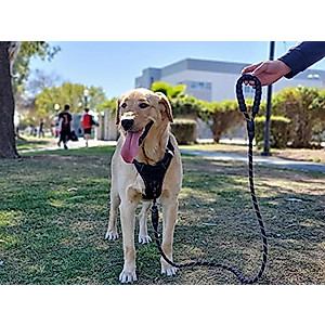 Petmegoo 5ft 1/2in Heavy Duty Black Dog Leash for Large Dogs & Medium Size Dogs - Highly Reflective Heavy Duty Dog Rope Leash with Soft Padded Anti-Slip Handle- for 18-120 lbs Dogs