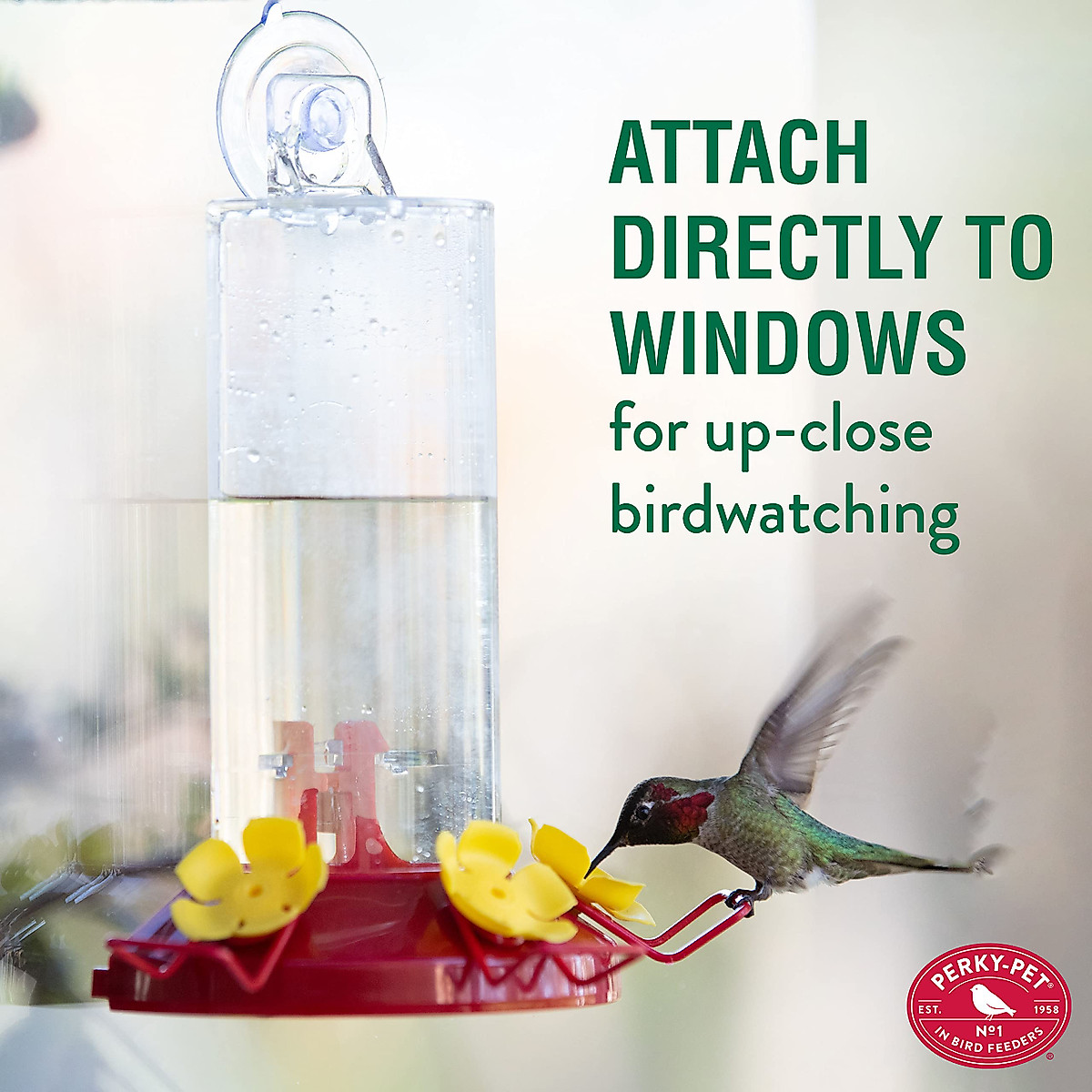 Perky-Pet 217 Window Mount Plastic Hummingbird Feeder with Perches - 8 oz Outdoor Garden Décor Hummingbird Feeder,  iridescent color