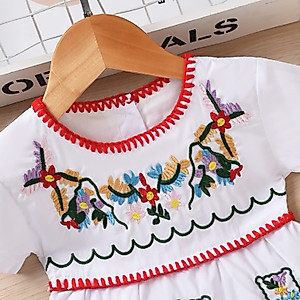 Aalizzwell Infant Baby Girl Embroidered Dress Ethnic Wear Short Sleeve Sundress White 0-6 Months