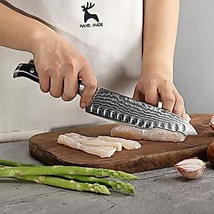 Damascus Kitchen Knife, 7 Inch Santoku Knife Professional Kitchen Knife Forged with VG10 Super Steel 67-Layer Damascus, Non-slip ABS Ergonomic Triple Rivet Handle, Razor Sharp Lightweight Multipurpose