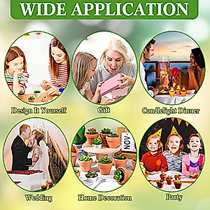 18 Pcs Succulent Cactus Tealight Candles Handmade Tea Lights Baby Shower Plant Candle Gift with Mini Terracotta Clay Candle Holders for Birthday Christmas Wedding Party Home Decoration (Cute)