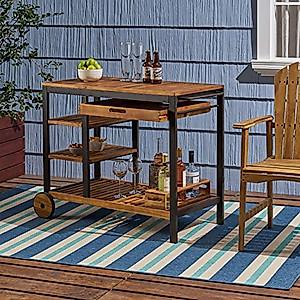 Christopher Knight Home Ishtar Outdoor Bar Cart, Teak Finish, Rustic Metal