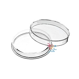 OnFireGuy High Relief 39mm Direct Fit for 2oz Queen's Beast & 2oz Biblical Series, Qty: 10