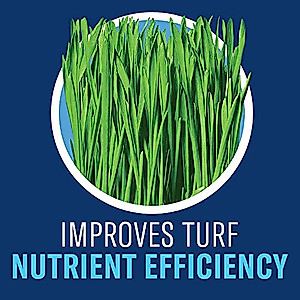 BioAdvanced Lawn Root Moisturizer, Ready-to-Spray, 32 oz