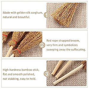 COHEALI Mini Broomsticks Cinnamon Broomstick 24pcs Practical Small Broom Natural Palm Mini Broom Decorations with Red Rope Household Broom Decoration Miniatures for Crafts Mini Witches Broomsticks