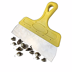 SRRPSPIGEON Pigeon droppings Scraper Bird droppings Clean Pigeon Home nest Cleaning Scraper Straight Pigeon loft Tool