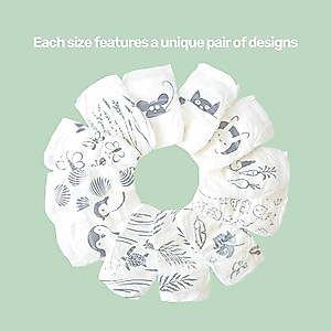 PARASOL Clear+Dry Disposable Diapers | RashShield Protection, Leakproof Design, Hypoallergenic Diaper Set | Size 5 (26+ lbs.) 48 Count