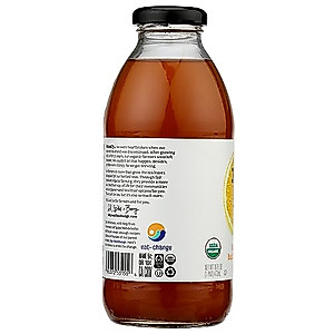 Eat The Change Just Ice Tea Organic Half Tea & Half Lemonade Tea, Kosher, 16 Fluid Ounces (Pack Of 12)