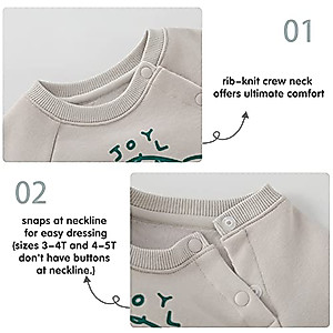 pureborn Toddler Boys Girls Sweatshirt Pullover Crew Neck Long Sleeve Activewear Tops Cotton Tshirts 4T Cream Grey