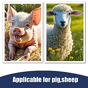 SUNBESTA M10 Veterinary Ultrasound Machine for Pregnancy, at Home Ultrasound with 3.5 MHz Probe for Sheep, Goats, Pigs and Sows pregnancies