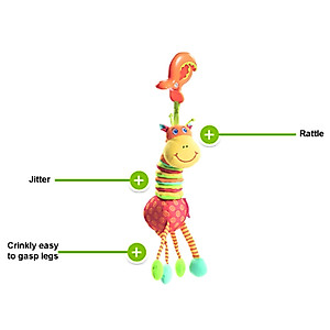 Tiny Love Tiny Smarts Jittering Activity Toy, Jay