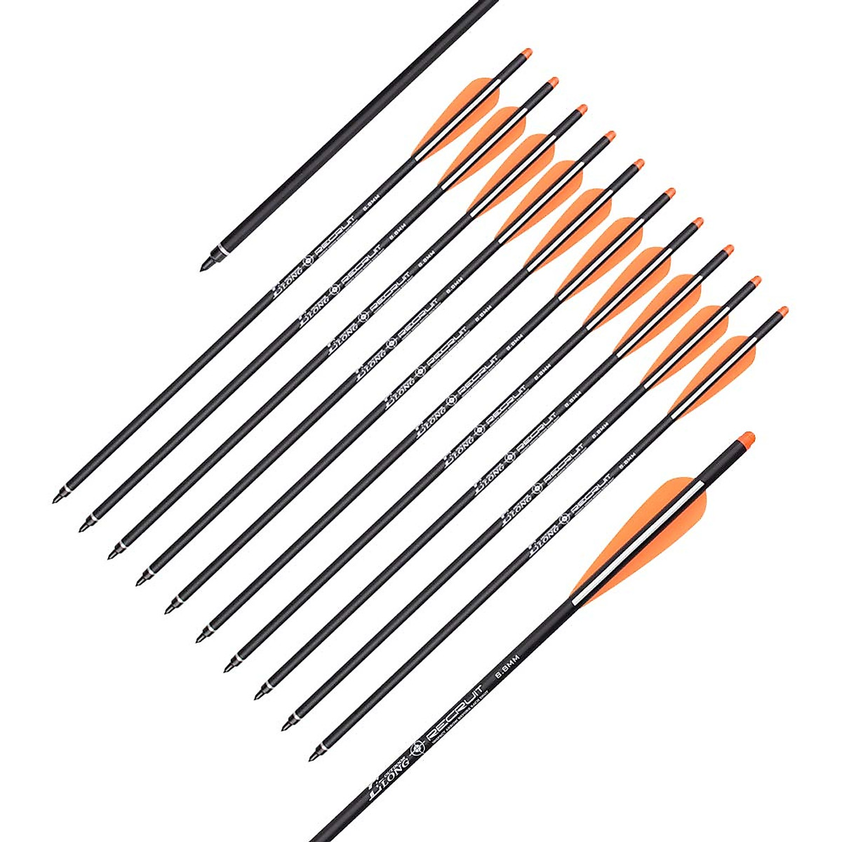20Inch Carbon Crossbow Bolts Hunting Archery Arrows with 4" Vanes Moon Nocks Target Tip (Pack of 12)