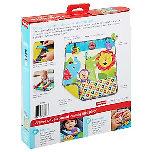 Fisher-Price On-the-Go Activity Throw