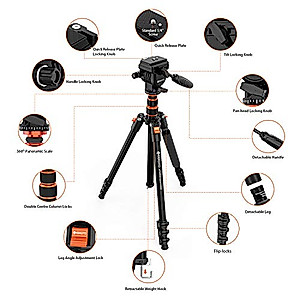 GEEKOTO Video Tripod Fluid Head,Professional Camera Tripod for DSLR,Monopod Aluminum 77" for Video Camcorder Canon Nikon Sony with 1/4" Screws Fluid Drag Pan Head,Load Capacity up to 20 Pounds