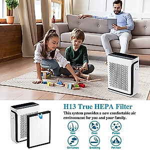 2 Pack Vital 100S Filter Rplacement Compatible with LEVOIT Vital 100S Air Puri-fier, 3-in-1 H13 Grade Smart True HEPA Rplacement Filter, Vital 100S-RF