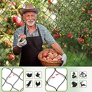 ZL 50x50ft Anti Bird Netting for Garden, Heavy Duty Bird Netting with 2.4" Square Mesh Size for Chicken Coop, Deer Fence Poultry Netting for Farm, Orchard, Aviary, Vegetables