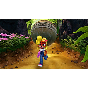 Spyro Crash Remastered Bundle - PlayStation 4