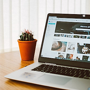 SOLUSTRE 12 pcs Camera Privacy Cover Privacy Blocker Sliding Shield Webcam Blocker Sticker Web Camera Cover LED Tablet Camera Cover Laptop tableta Webcam Lens Cover Animal Slider Computer