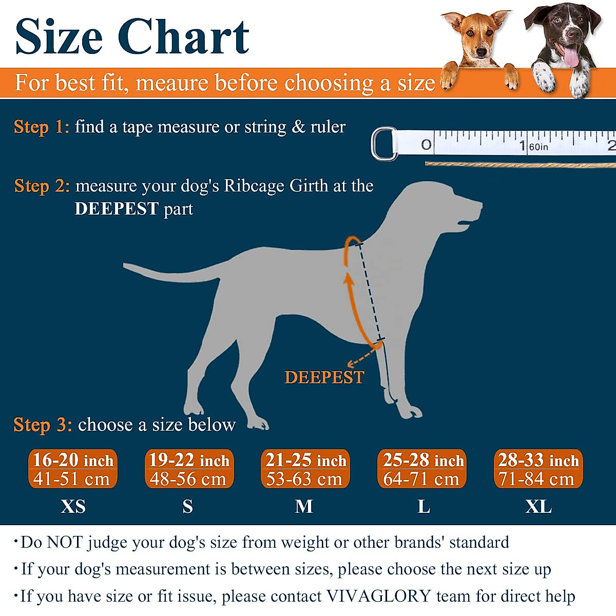 VIVAGLORY Lightweight Dog Life Jacket, Pet Life Preserver Life Vest Skin-Friendly Neoprene for Puppy Small Dogs with D-ring and Quick Release Buckle, Blue