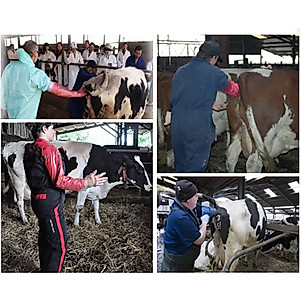 SUCHXNG 100Pcs Disposable Long Arm Gloves, 35.5 Inch Veterinary Insemination Rectal Long Gloves Soft Plastic Film Gloves for Household Cleaning Field Dressing