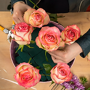 Floral Foam Blocks for Fresh and Artificial Flowers, 6 Pcs Each 8" L x 4" W x 3" H Wet and Dry Green Florist Foam for Weddings, Birthday Parties and Holiday Decorations