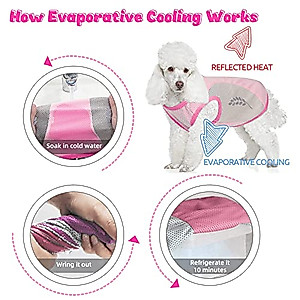 Dog Cooling Vest Instant Cooling T-Shirts for Summer Evaporative Microfiber Sun Protection Jacket Lightweight for Walking, Running High Visibility for Outdoor Activity (XXXL, Pink)